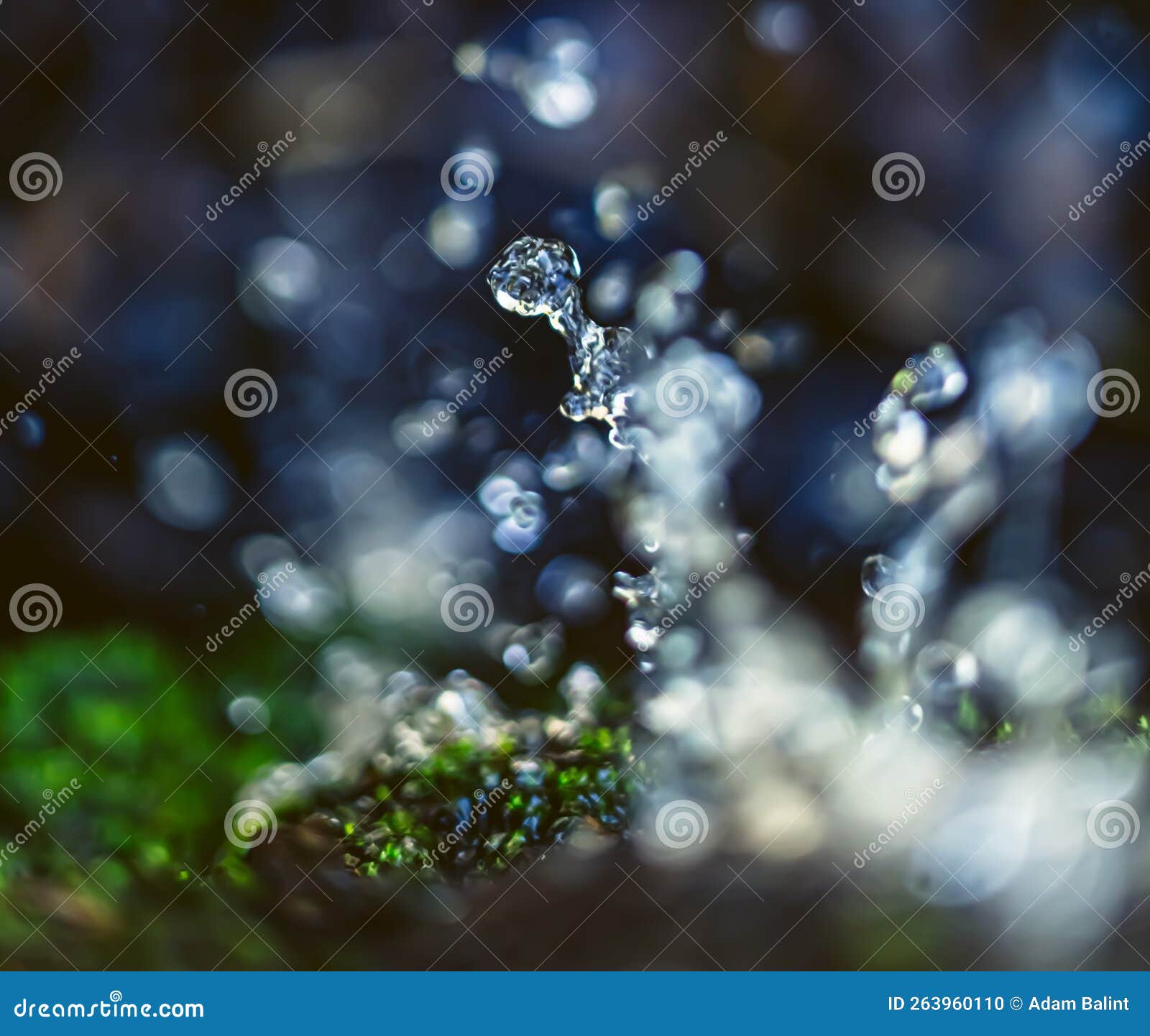 Water Drop Nature Splash Colorful Stock Photo - Image of drop, freezing ...