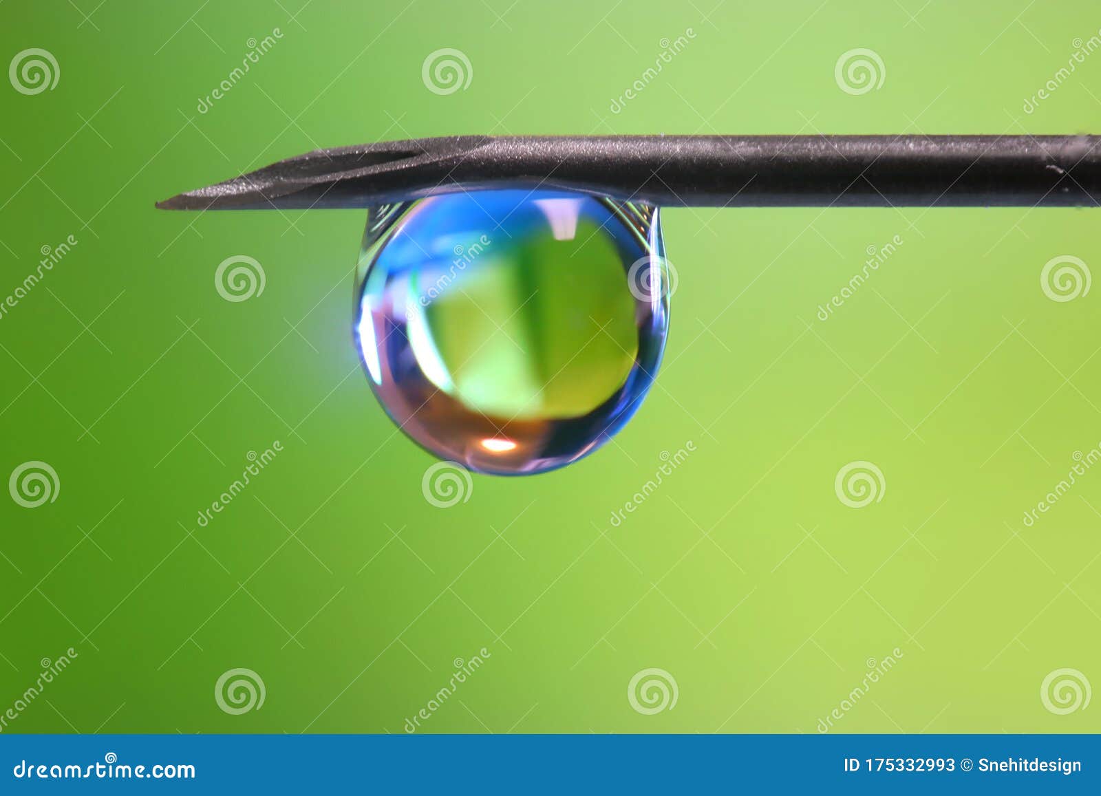 Water drop on a needle stock image. Image of clear, nature - 175332993