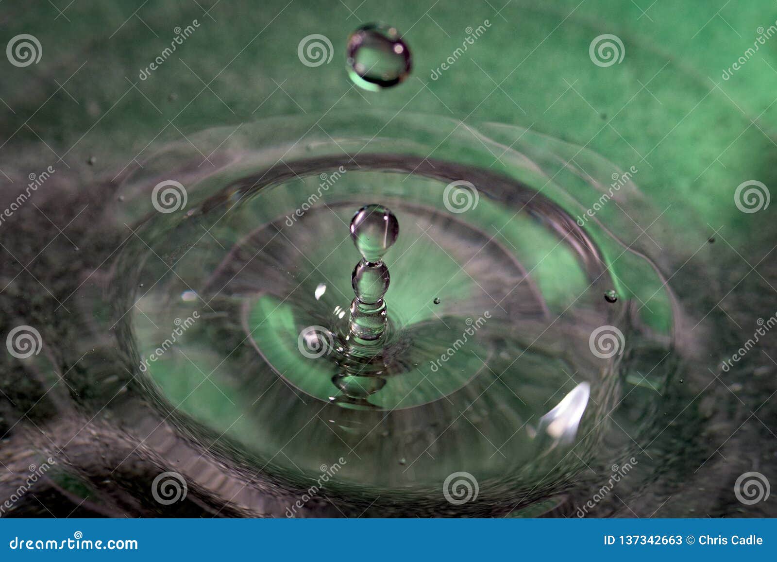 Drip Drop stock image. Image of drop, drip, water - 137342663