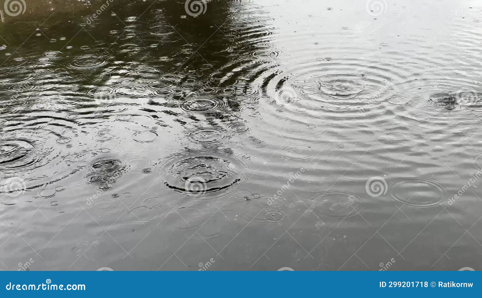 Water Drop from Raining Day with Sky Reflection Stock Footage - Video ...