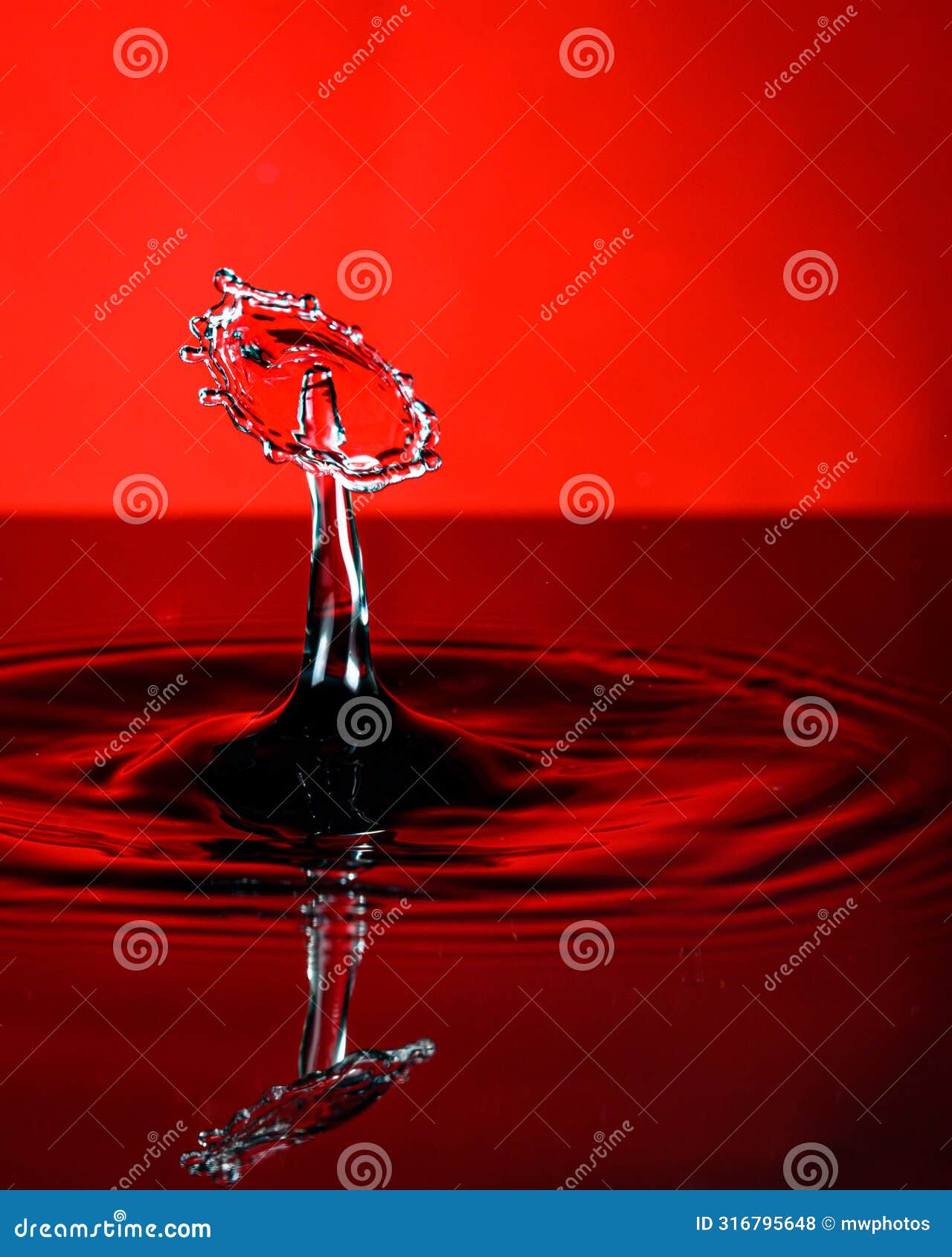 Water Drop - Red stock photo. Image of fresh, fluid - 316795648