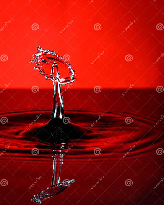 Water Drop - Red stock photo. Image of fresh, fluid - 316795648