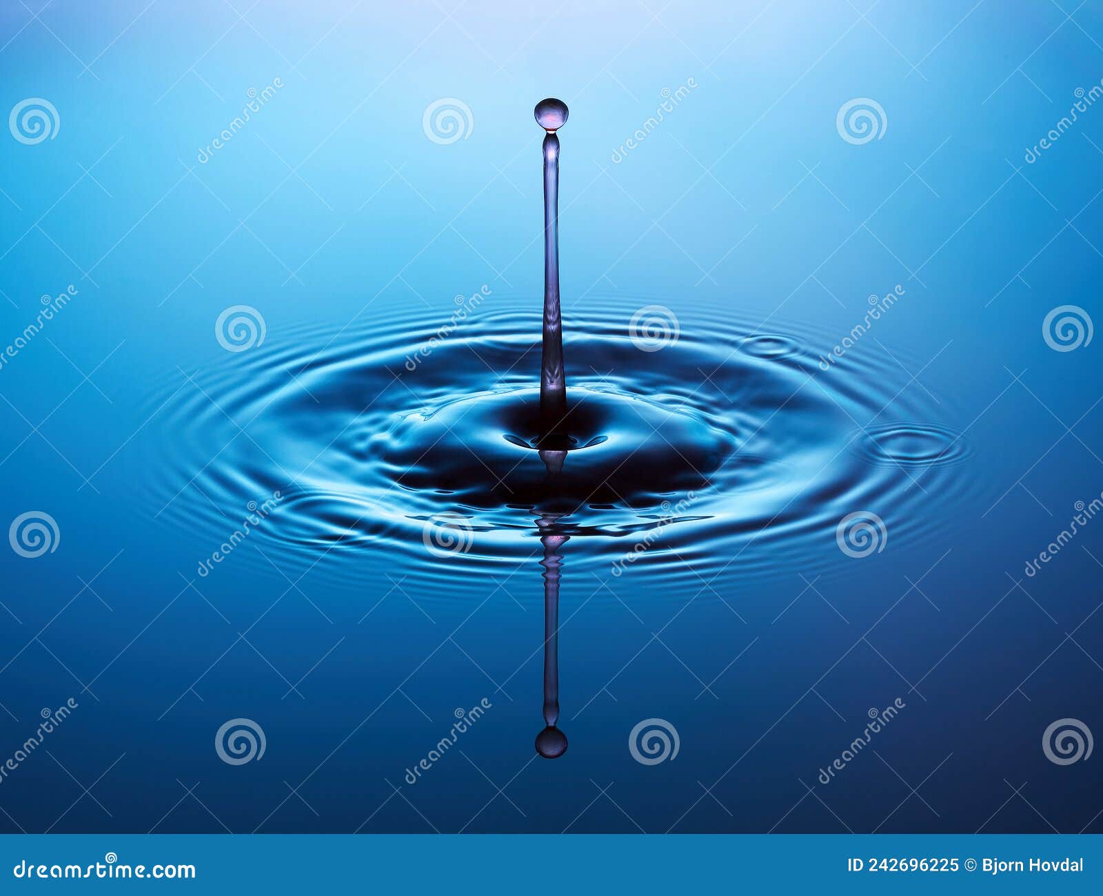 Water drop with reflection stock image. Image of falling - 242696225