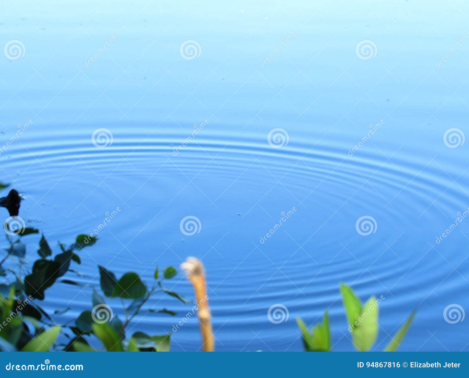 Water drop stock photo. Image of drop, lake, puddle, water - 94867816