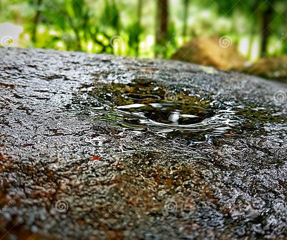 Water drop in the rock stock photo. Image of woodland - 220694634