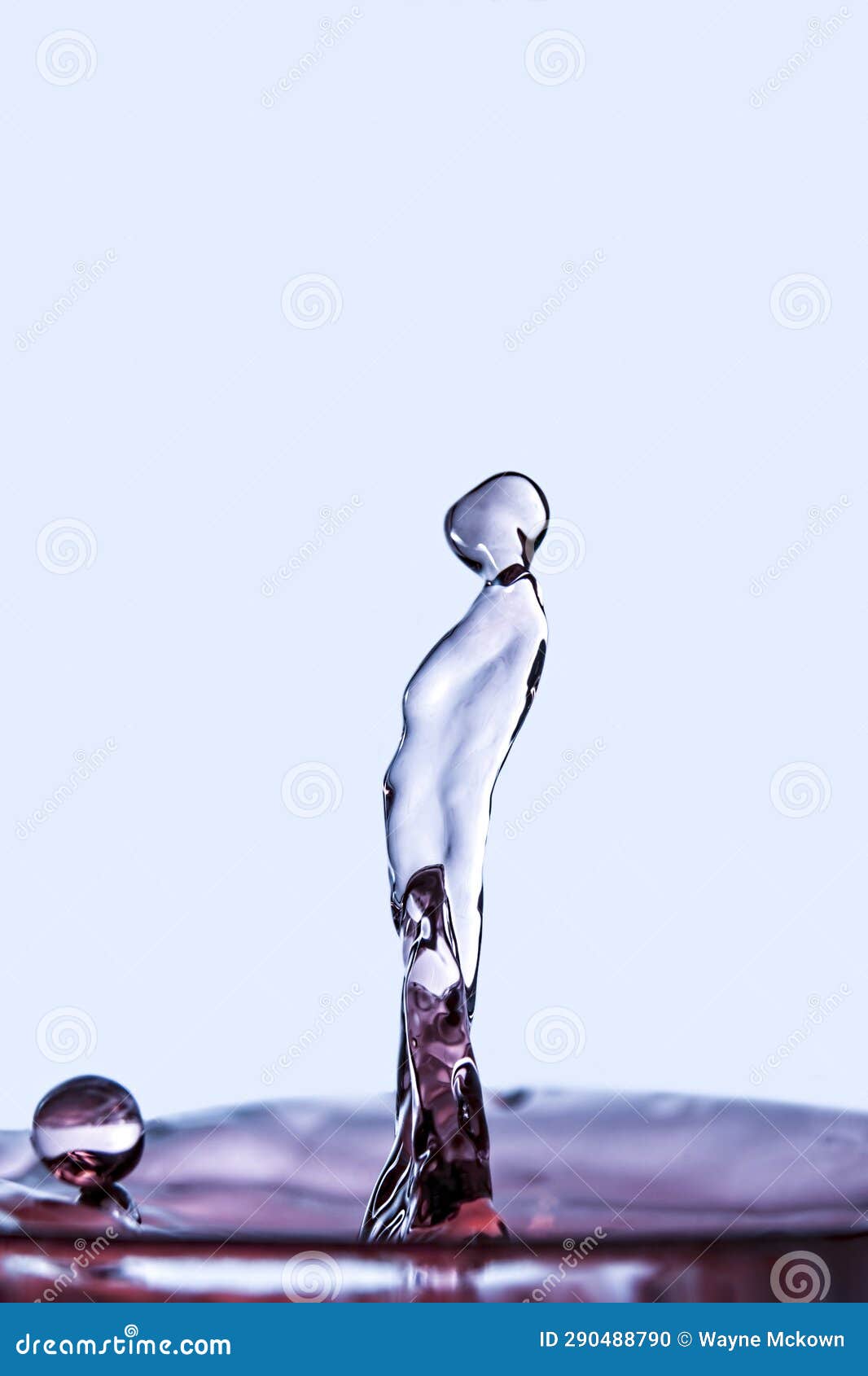 Water-drop shape stock photo. Image of color, drop, clear - 290488790