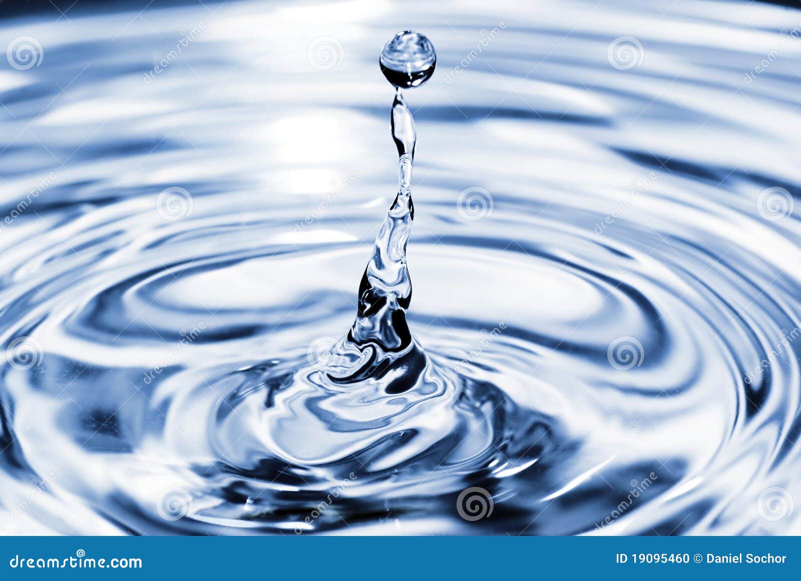 Water drop shot stock photo. Image of environment, fall - 19095460