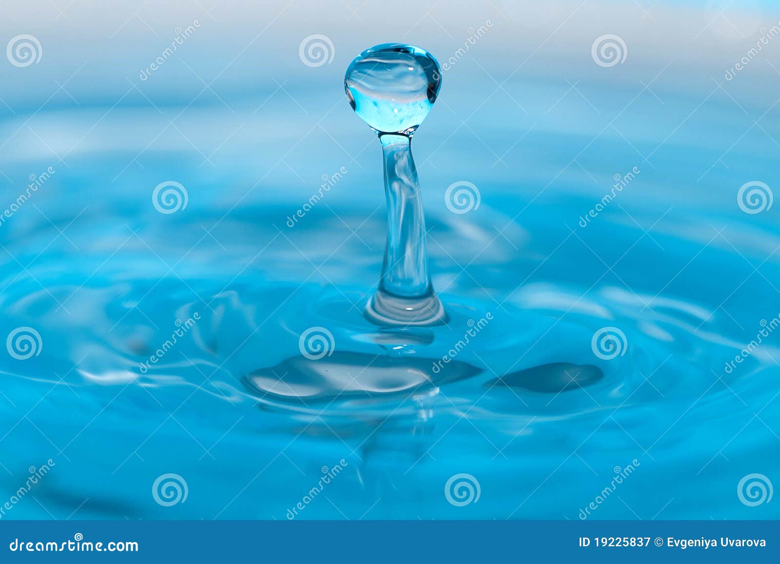 Water drop and splash stock image. Image of abstract - 19225837