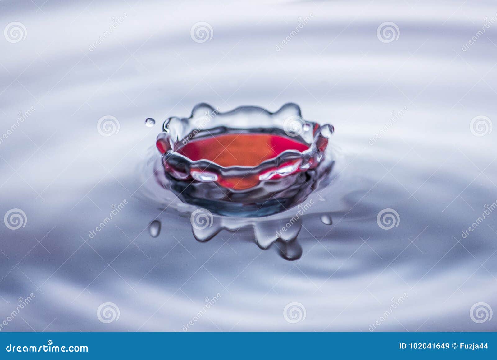 Water Drop Splash Crown in Blue and Red Tones Stock Image - Image of ... Water Drop Splash Crown in Blue and Red Tones Stock Image - Image of ...