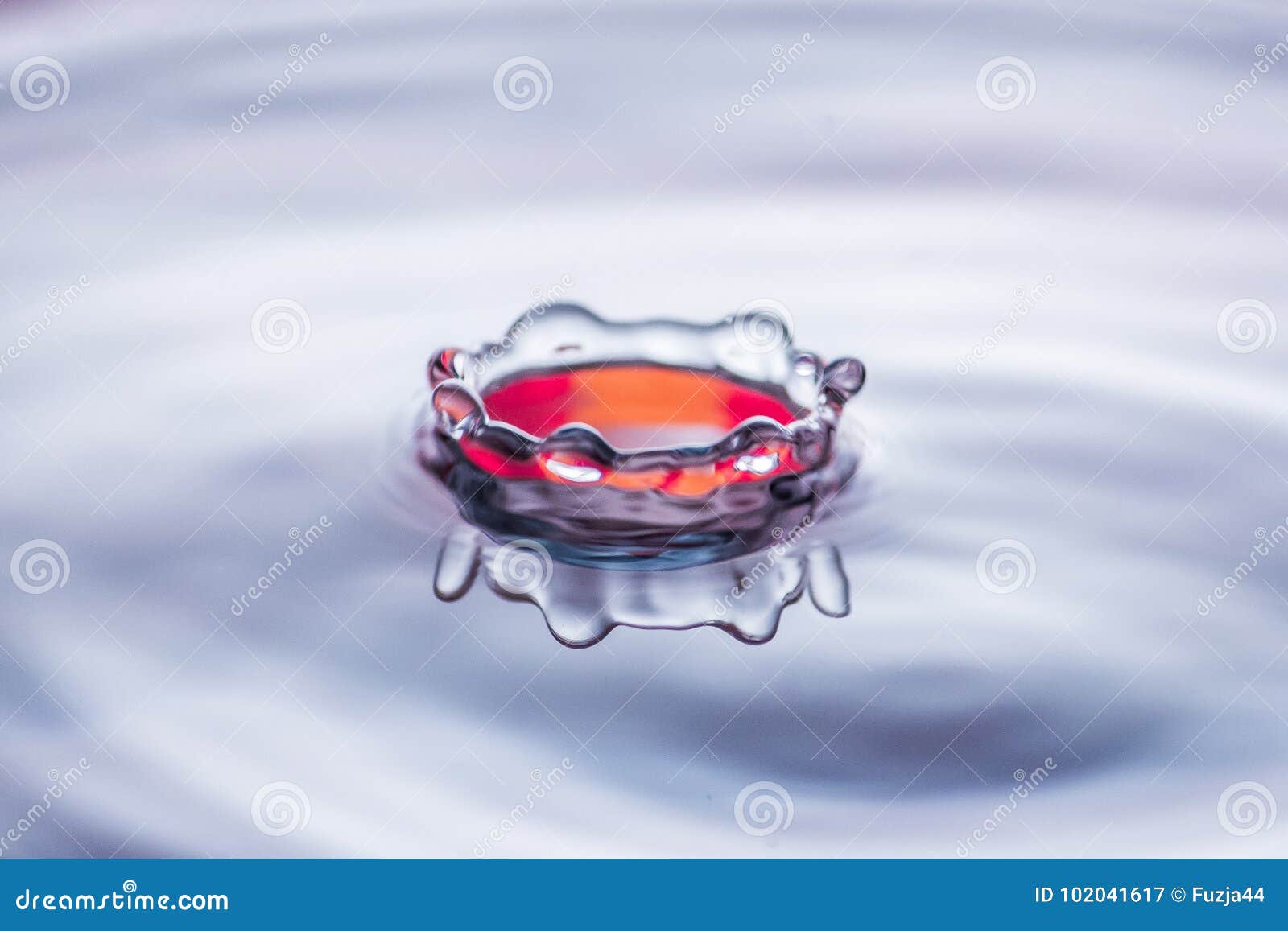 Water Drop Splash Crown in Blue and Red Tones Stock Image - Image of ...