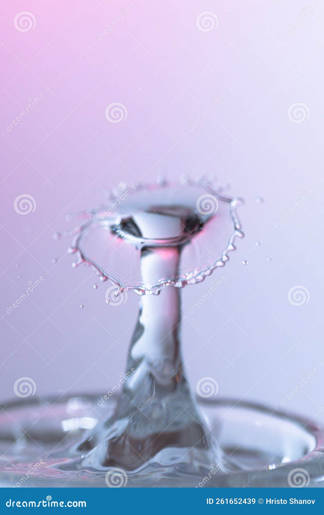Water Drop Splash with Ripples on Water Surface Stock Image - Image of ...
