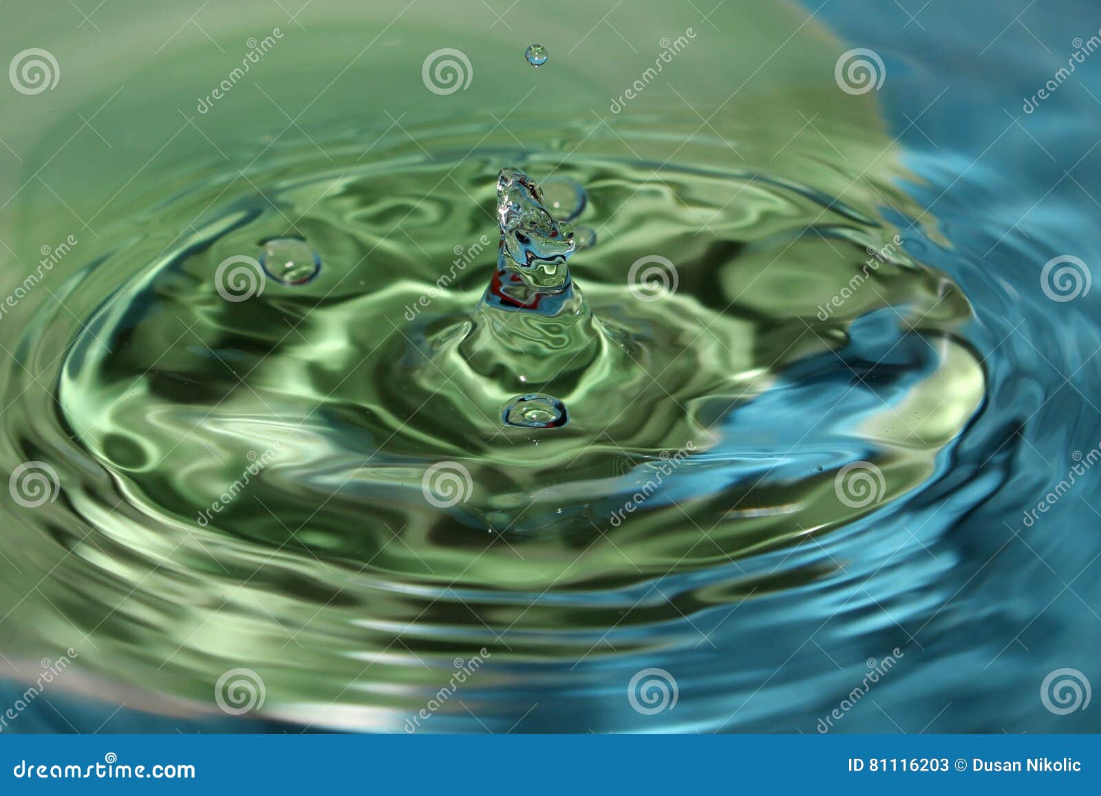 Water Drop Splashes in the Water Stock Image - Image of macro, surface ...
