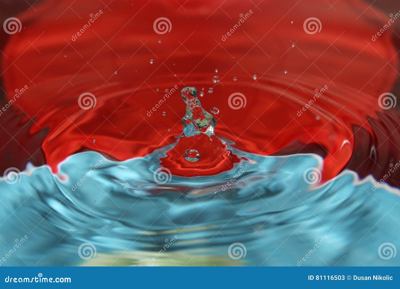 Water Drop Splashes in the Water Stock Image - Image of liquid, rain ...