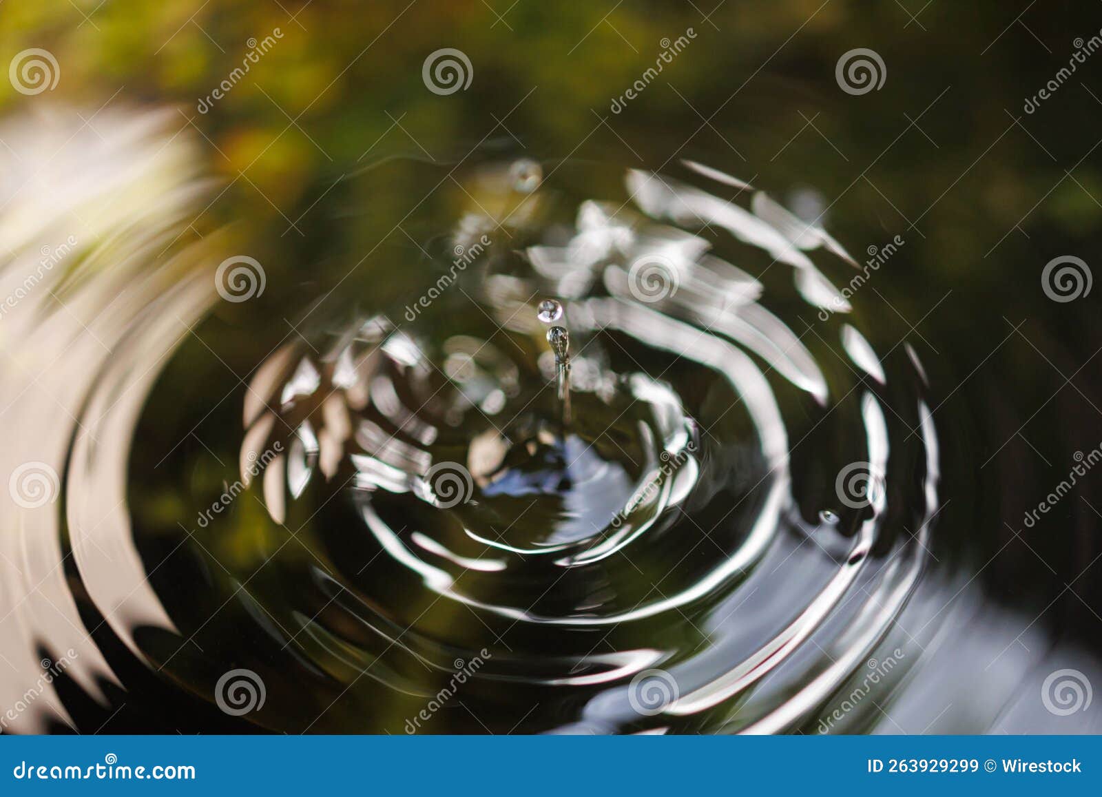 Water Drop Splashing in a Pond Surface Stock Image - Image of motion ...