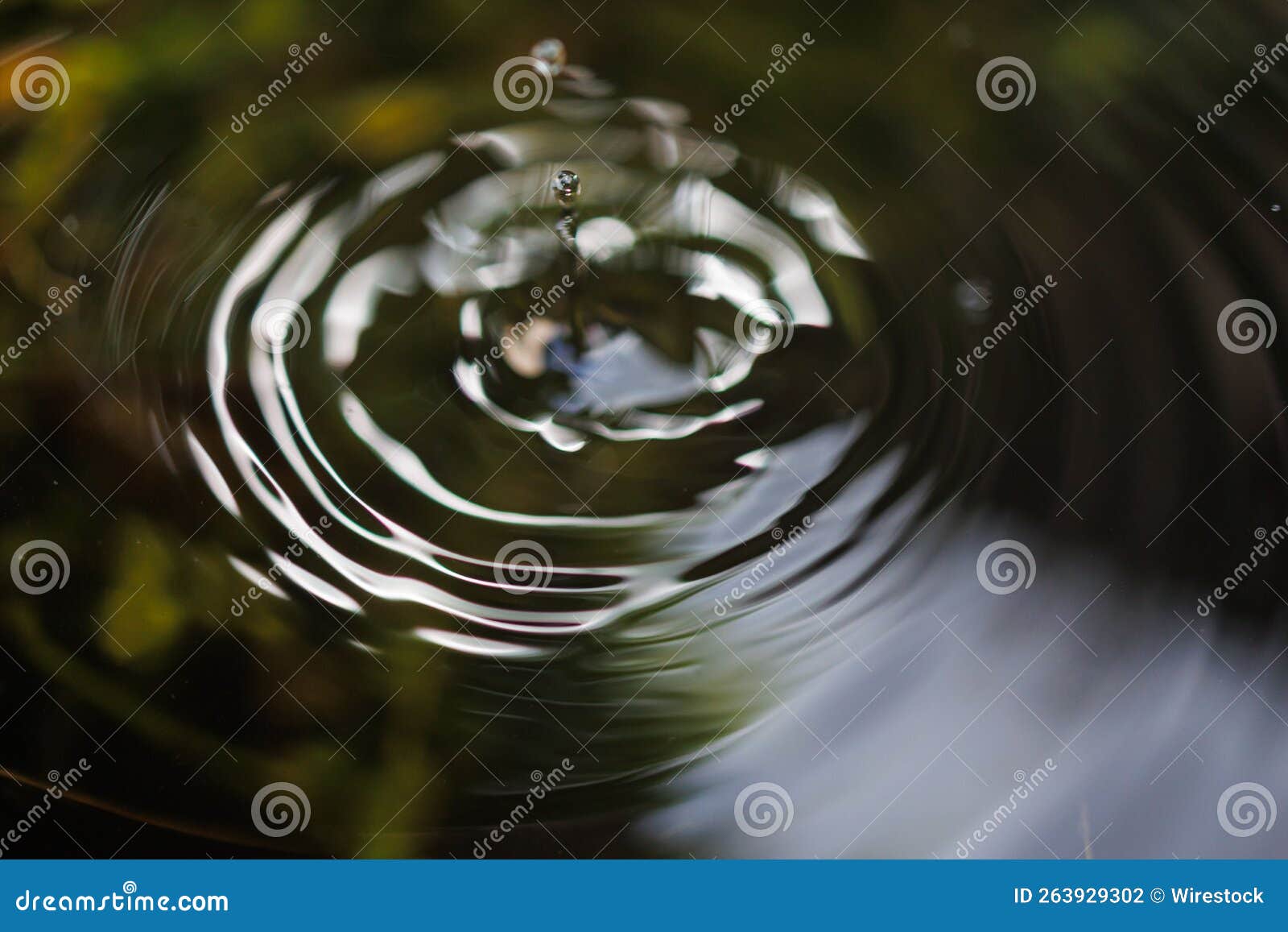 Water Drop Splashing in a Pond Surface Stock Photo - Image of drop ...