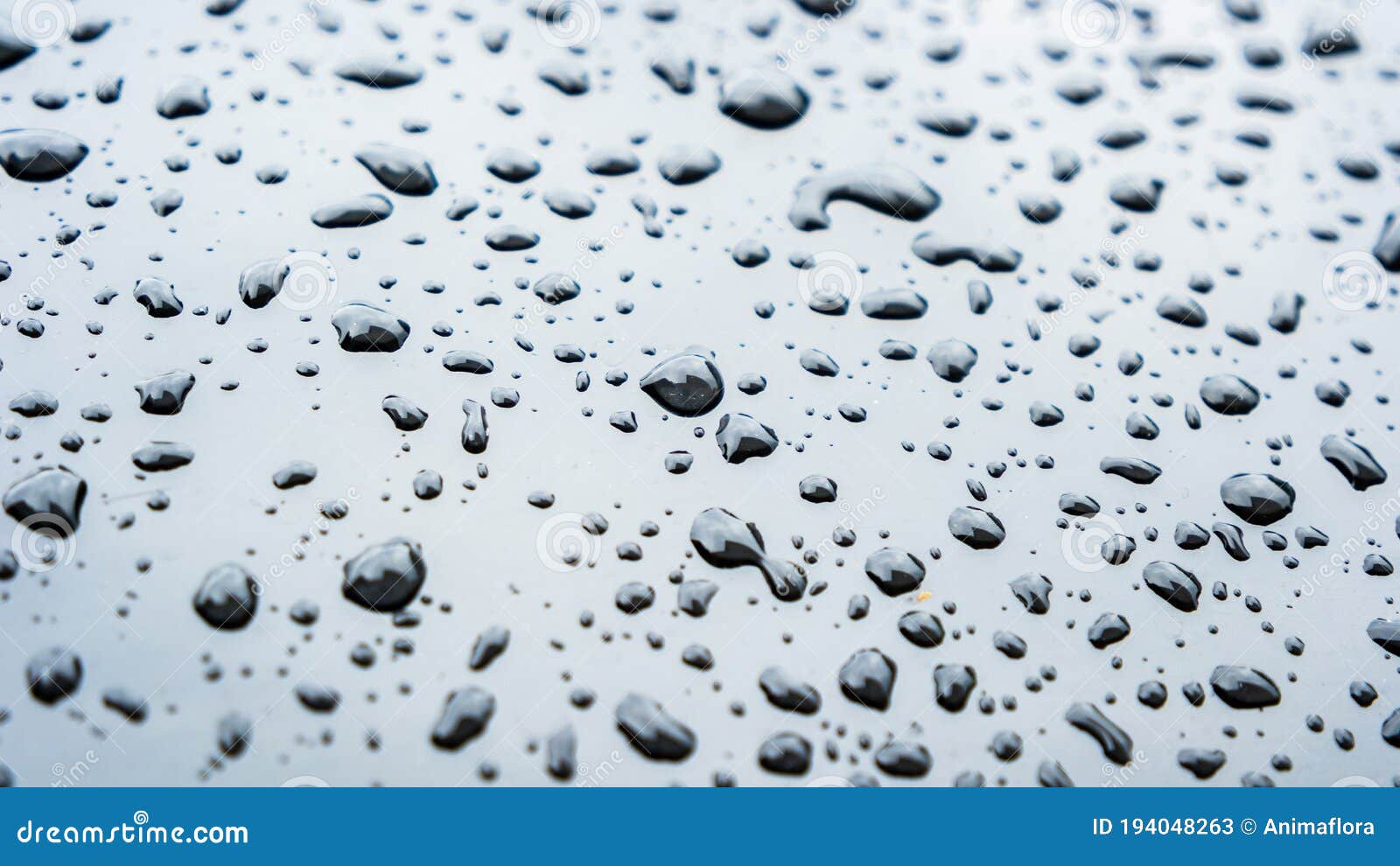 Water Drop Texture stock image. Image of splash, raindrop - 194048263