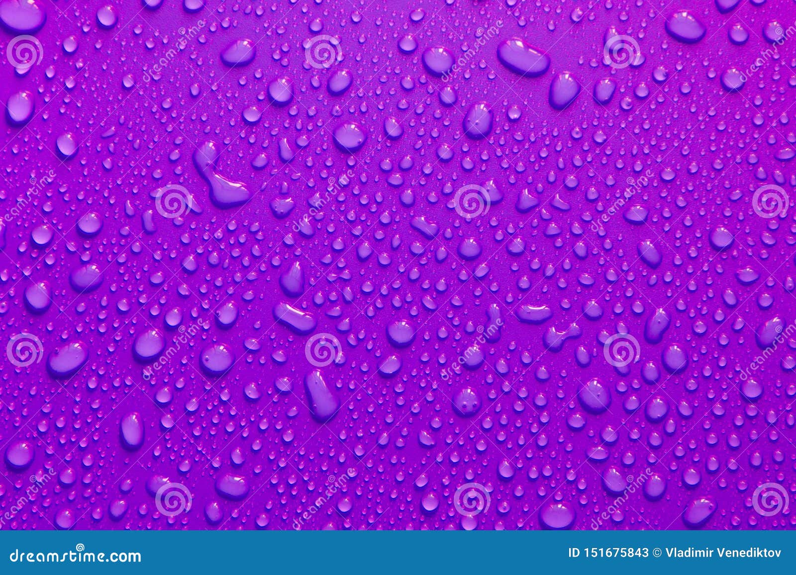 Water Drop Texture Close-up On Purple Matte Background Stock Image ...