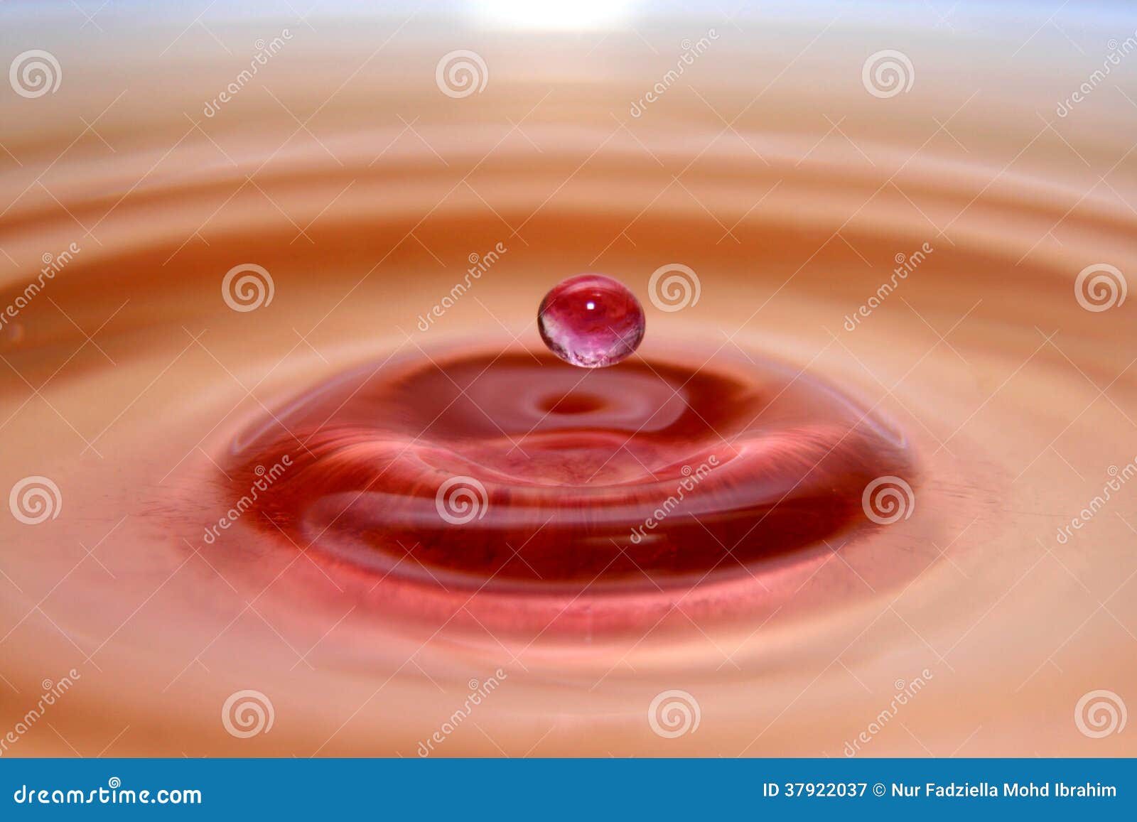Water drop stock image. Image of fluid, liquid, macro - 37922037