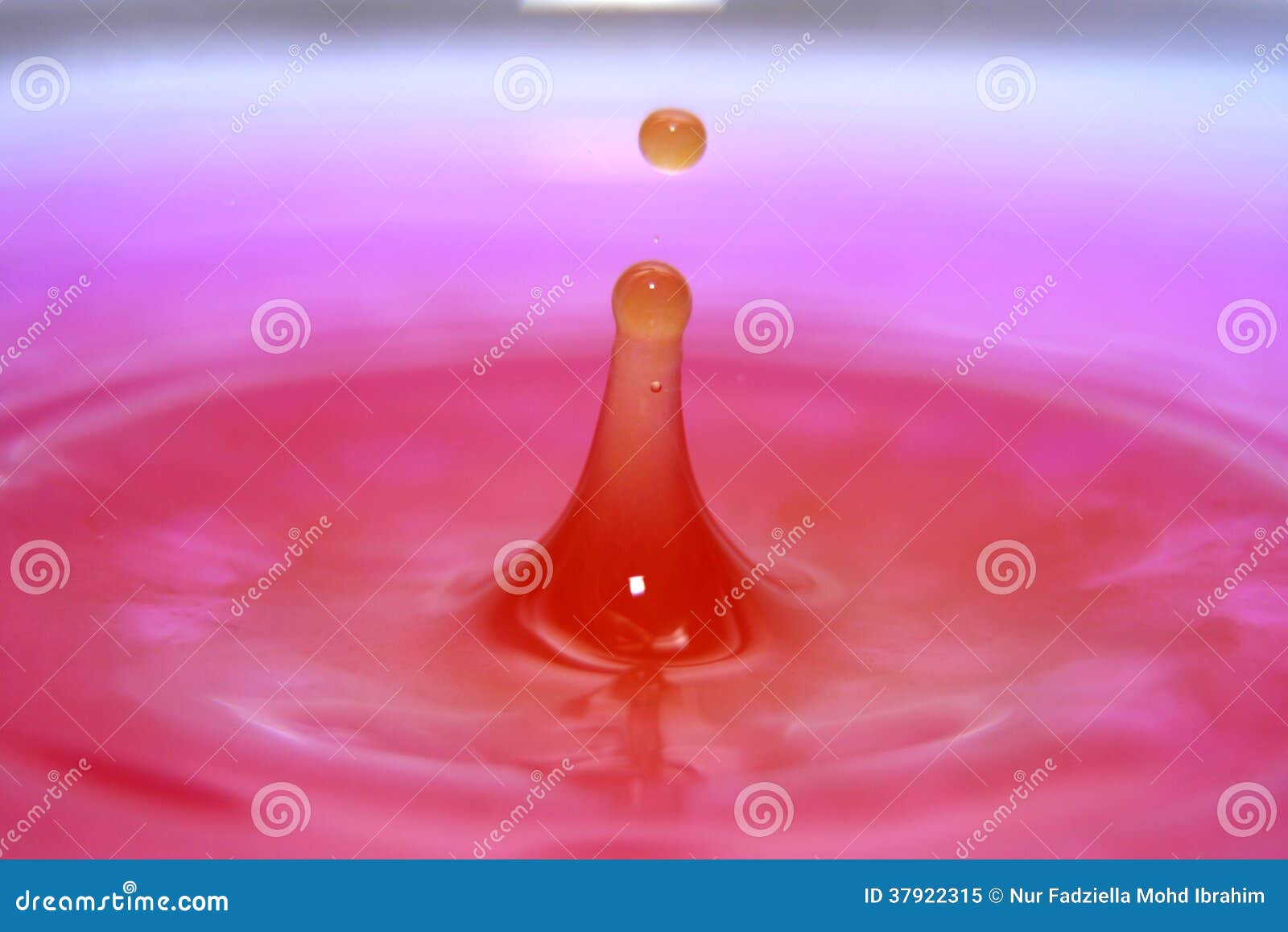 Water drop stock image. Image of pearl, orange, nature - 37922315