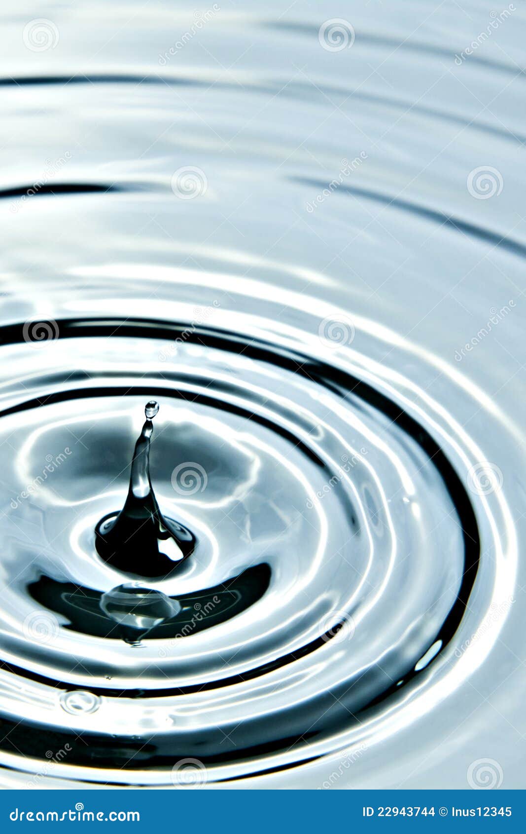 Water Drop in Water stock photo. Image of black, splashing - 22943744