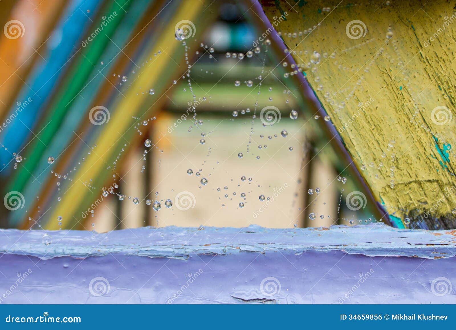 Water drop on web. stock photo. Image of morning, shine - 34659856