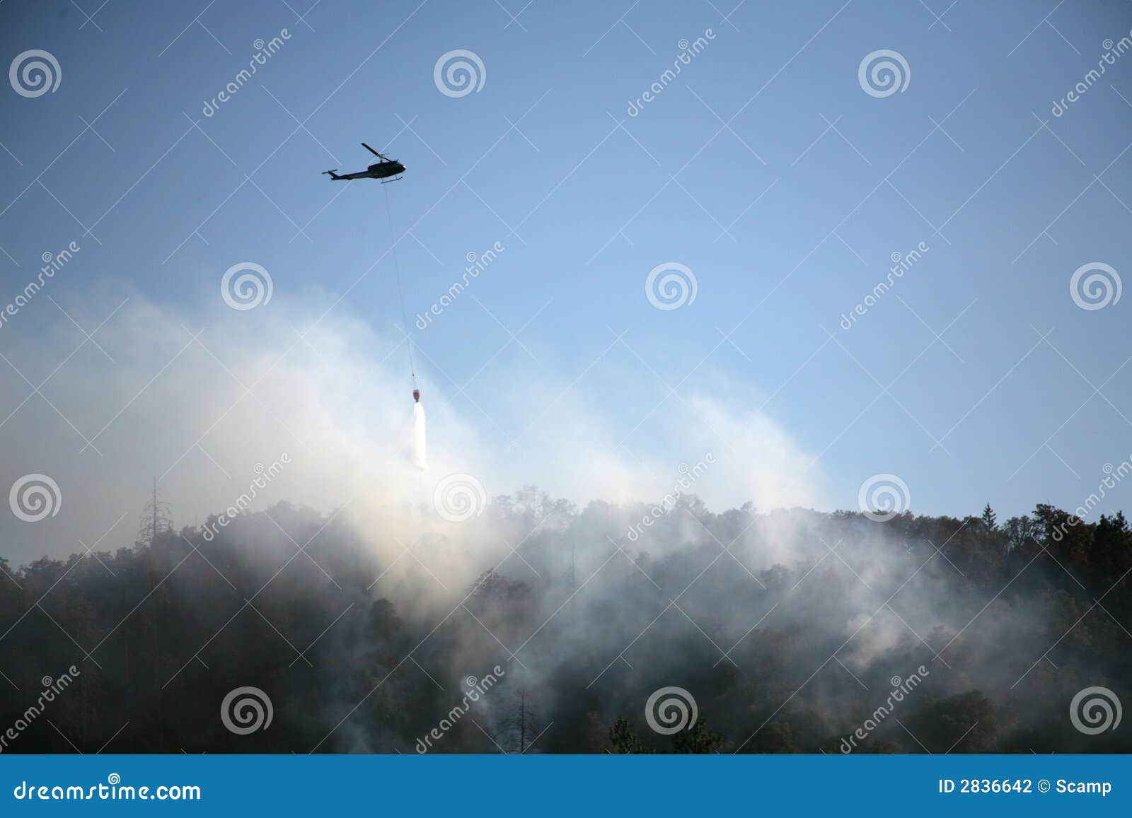 Water Drop on Wildfire editorial photography. Image of drop - 2836642