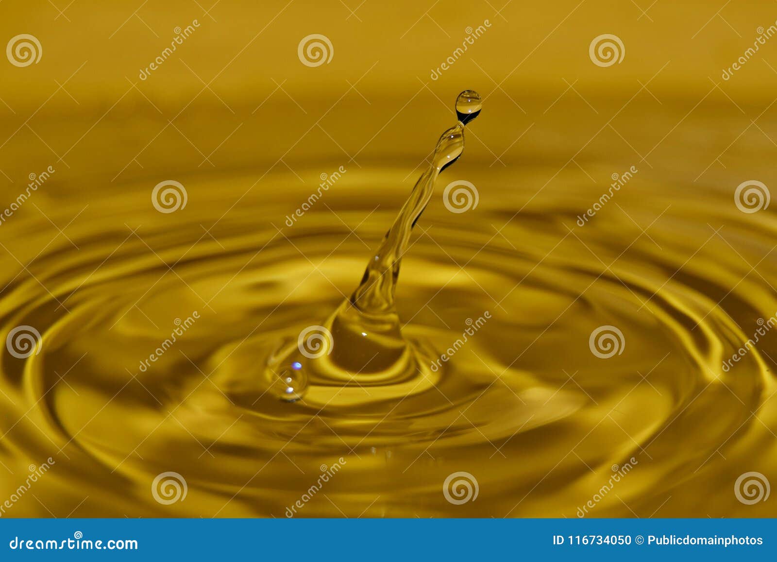 Water, Drop, Yellow, Macro Photography Picture. Image: 116734050