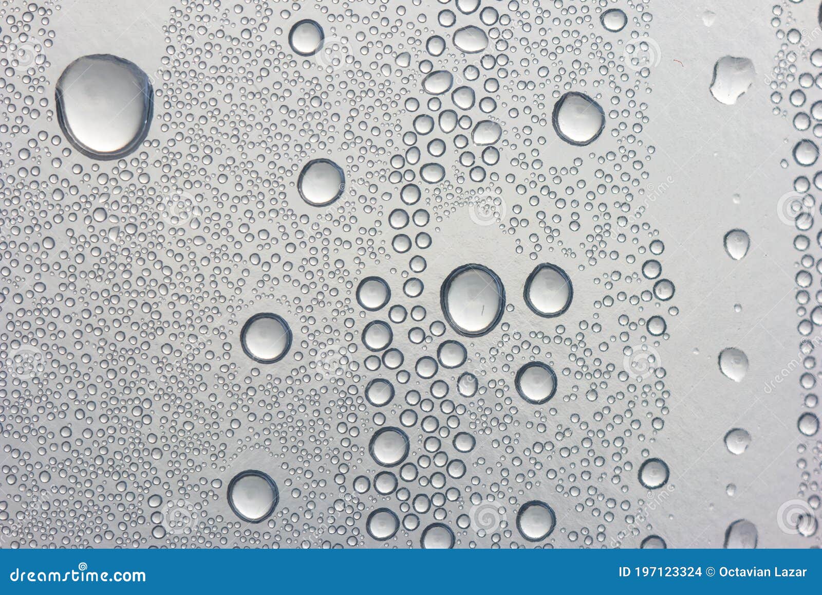 Water Droplet Condensation N Mate Plastic Bottle Back Lit Macro Stock ...