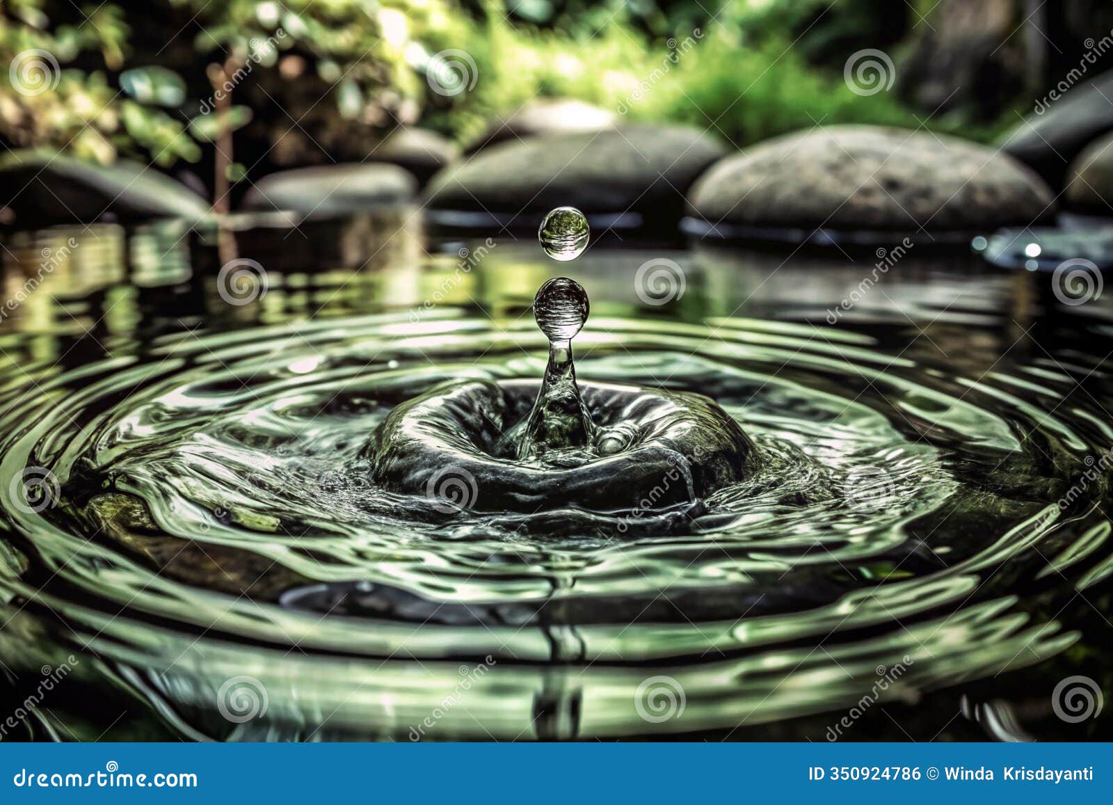 Water Droplet Falling into Calm Pond, Creating Concentric Ripples Stock ...