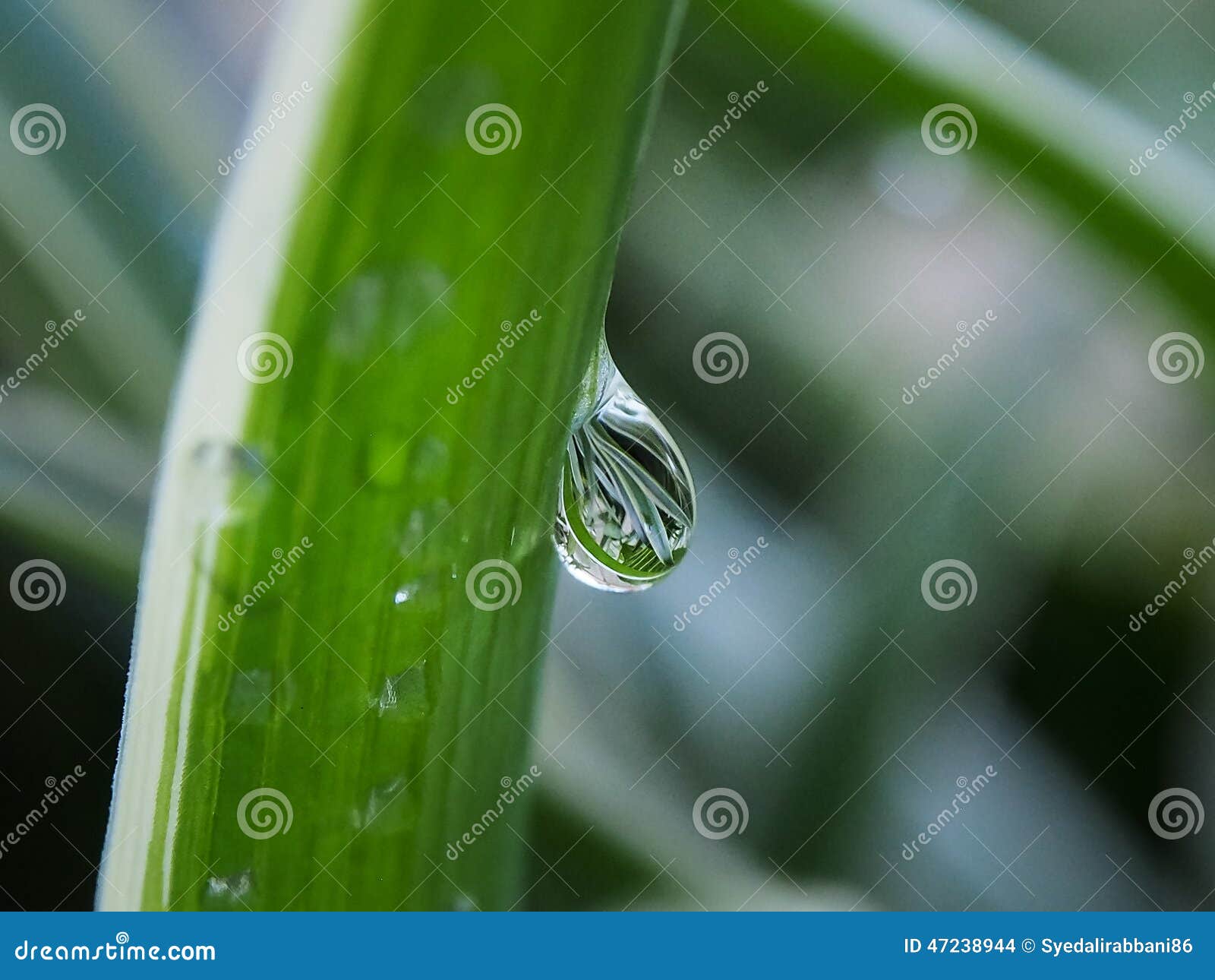 Water droplet falling off stock photo. Image of droplets - 47238944