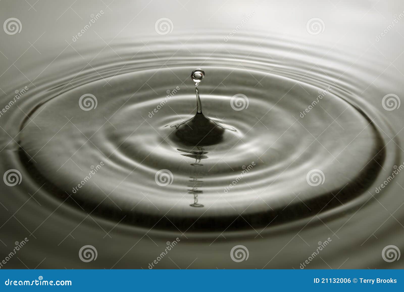 Water Droplet with Grey Background. Stock Photo - Image of freshness ...
