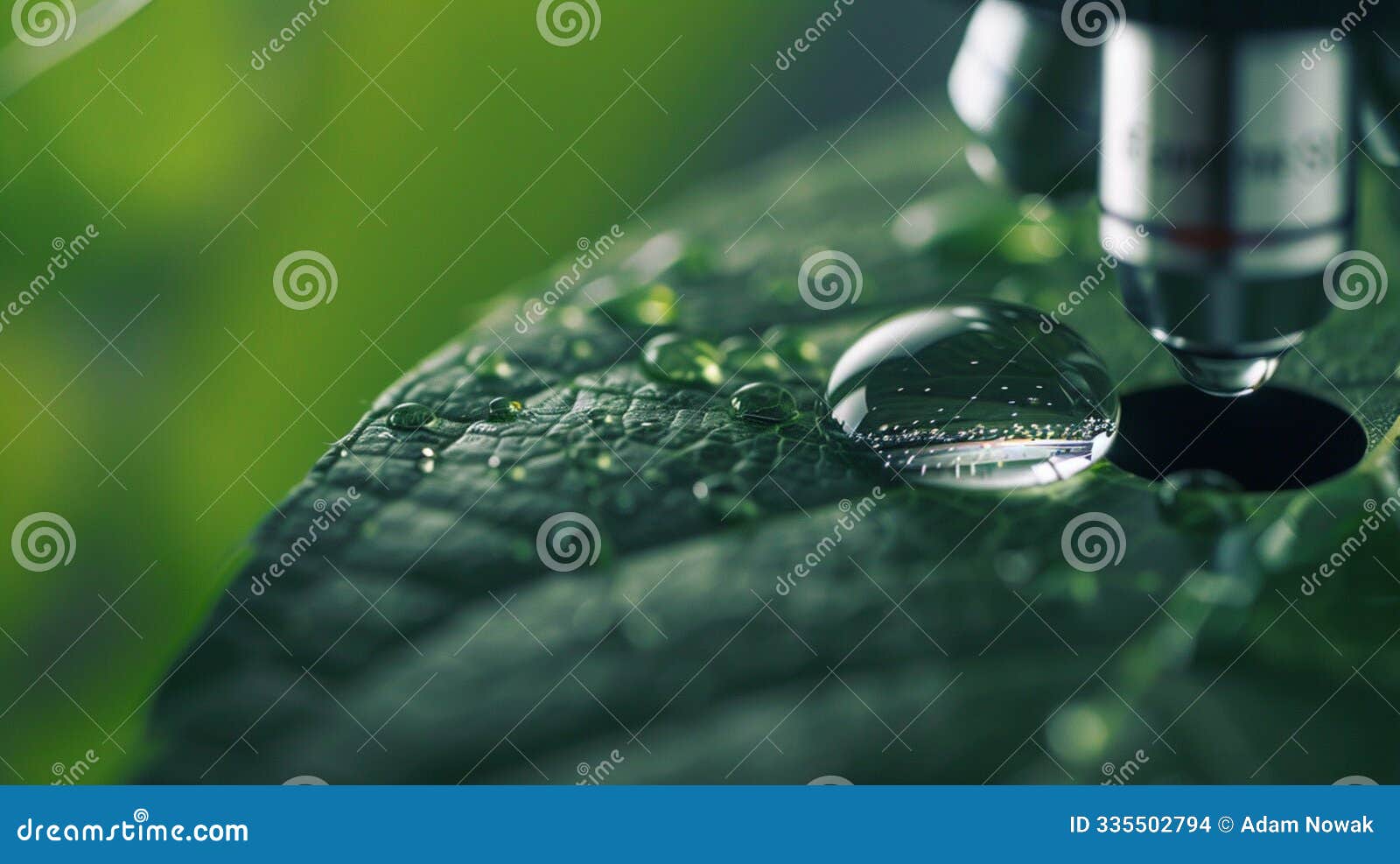 Water Droplet on Leaf Under Microscope Stock Illustration ...