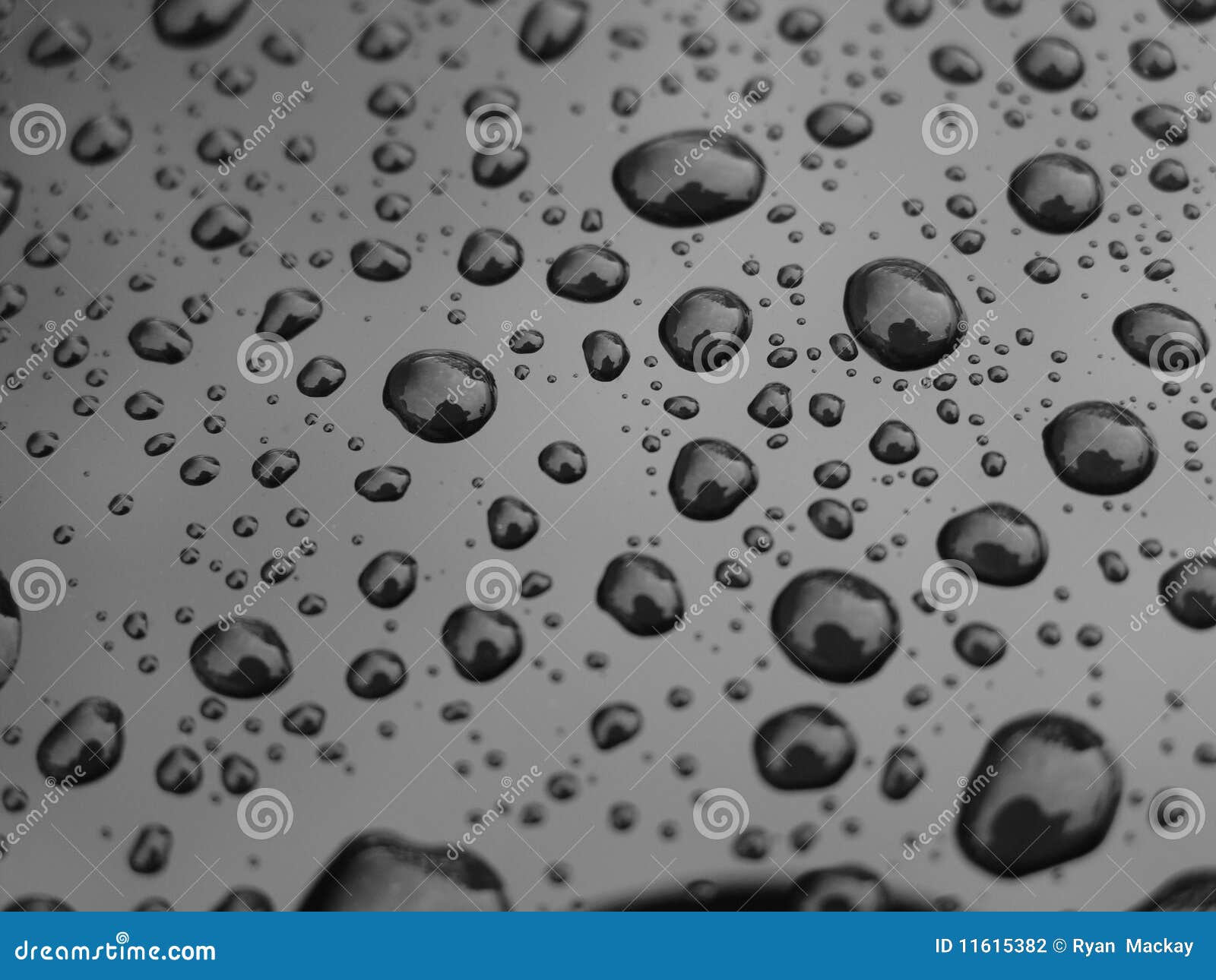 Water droplets stock photo. Image of drop, droplet, aqua - 11615382