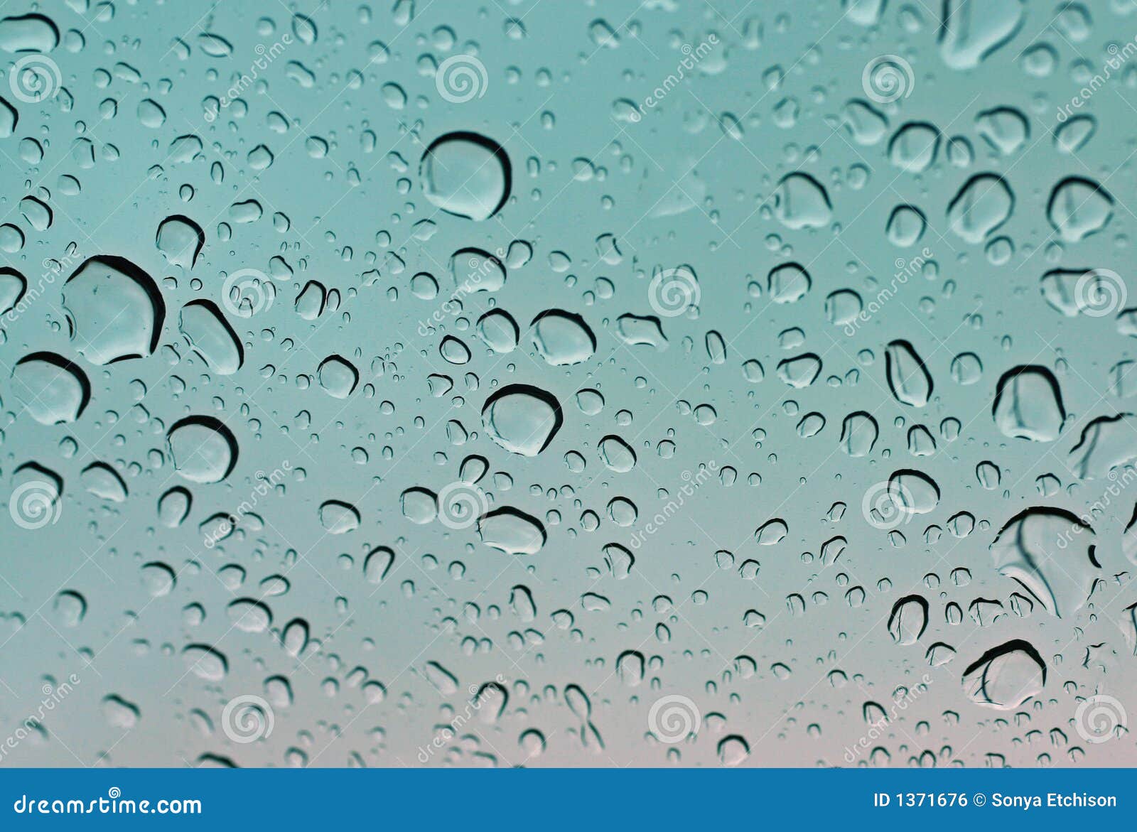 Water Droplets stock photo. Image of backgrounds, water - 1371676