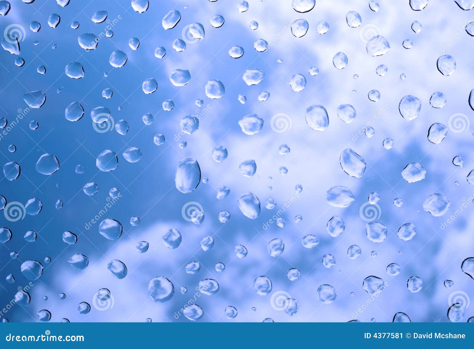 Water Droplets Picture. Image: 4377581