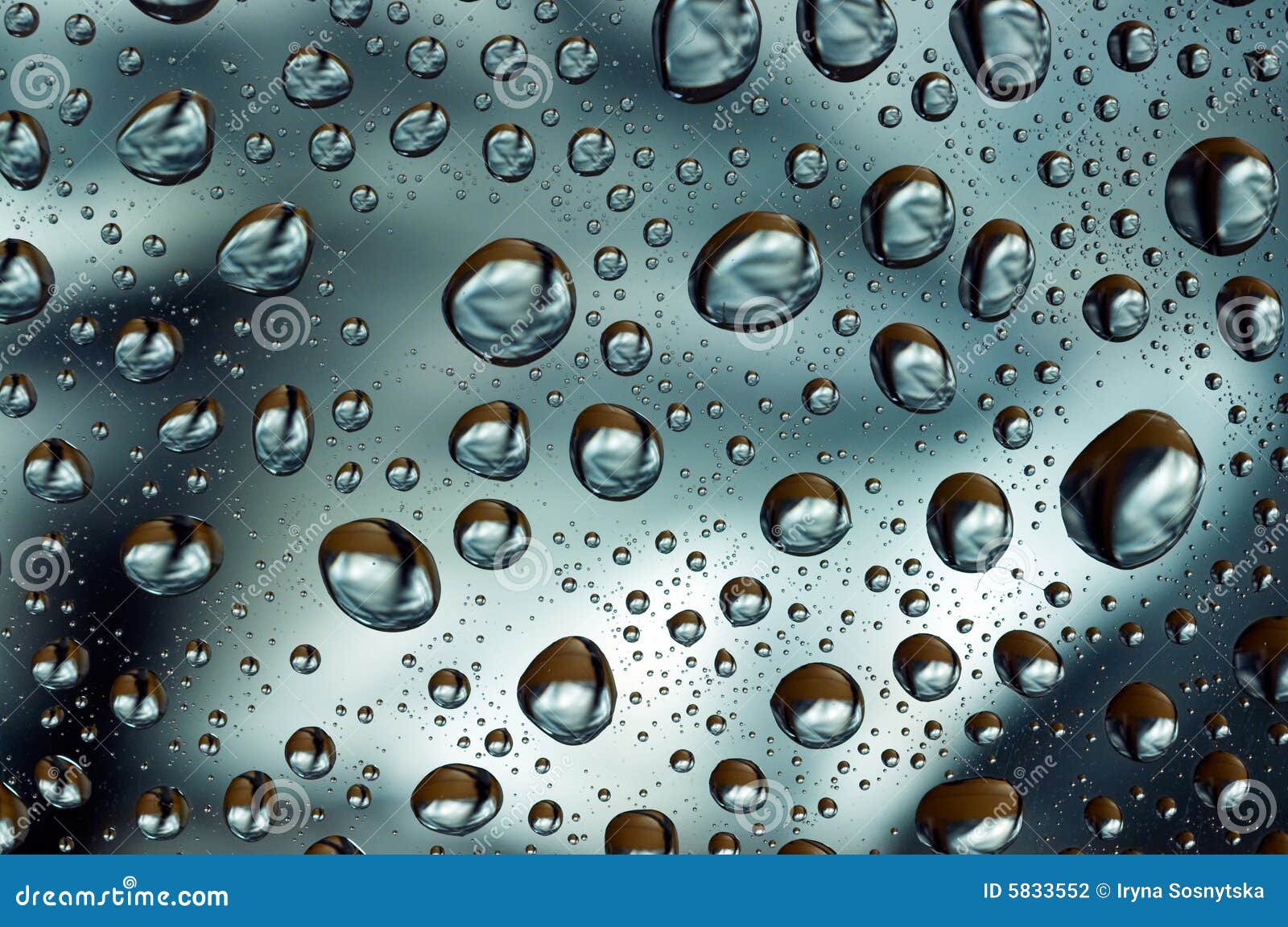 Water Droplets Picture. Image: 5833552