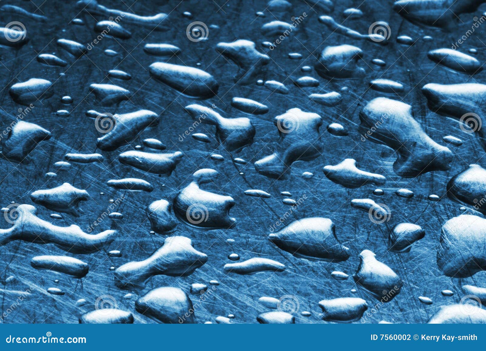 Water Droplets stock photo. Image of fresh, fluid, clear - 7560002