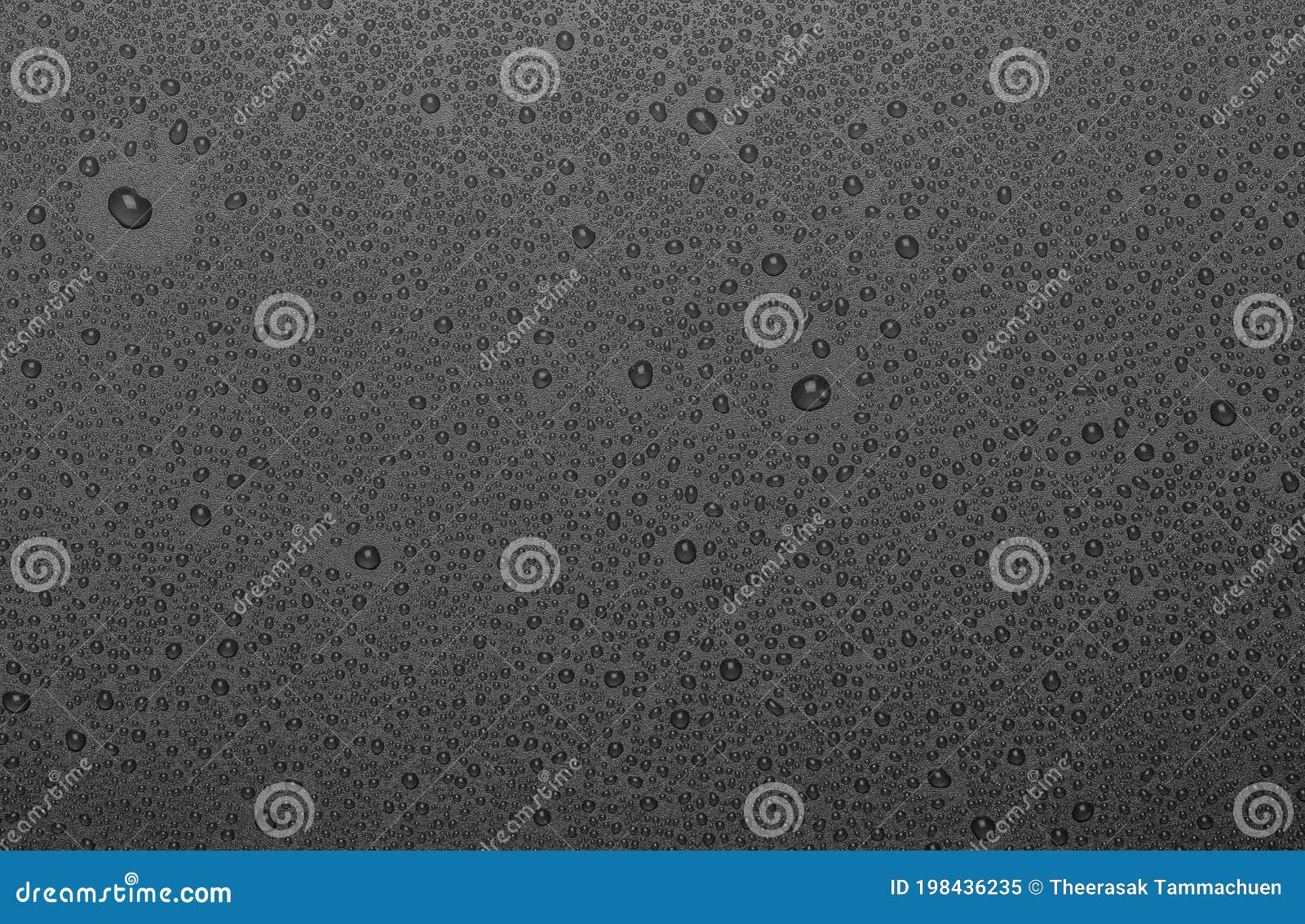 Water Droplets on Black Background Stock Image - Image of macro, bubble ...
