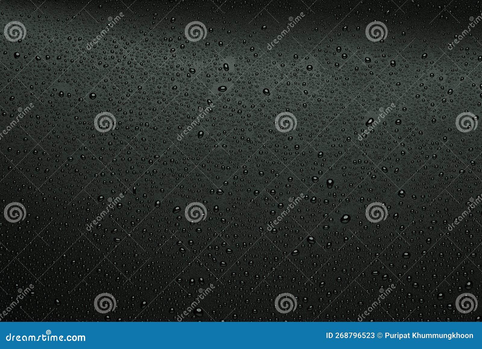 Water Droplets on Black Background Stock Image - Image of gray, dark ...