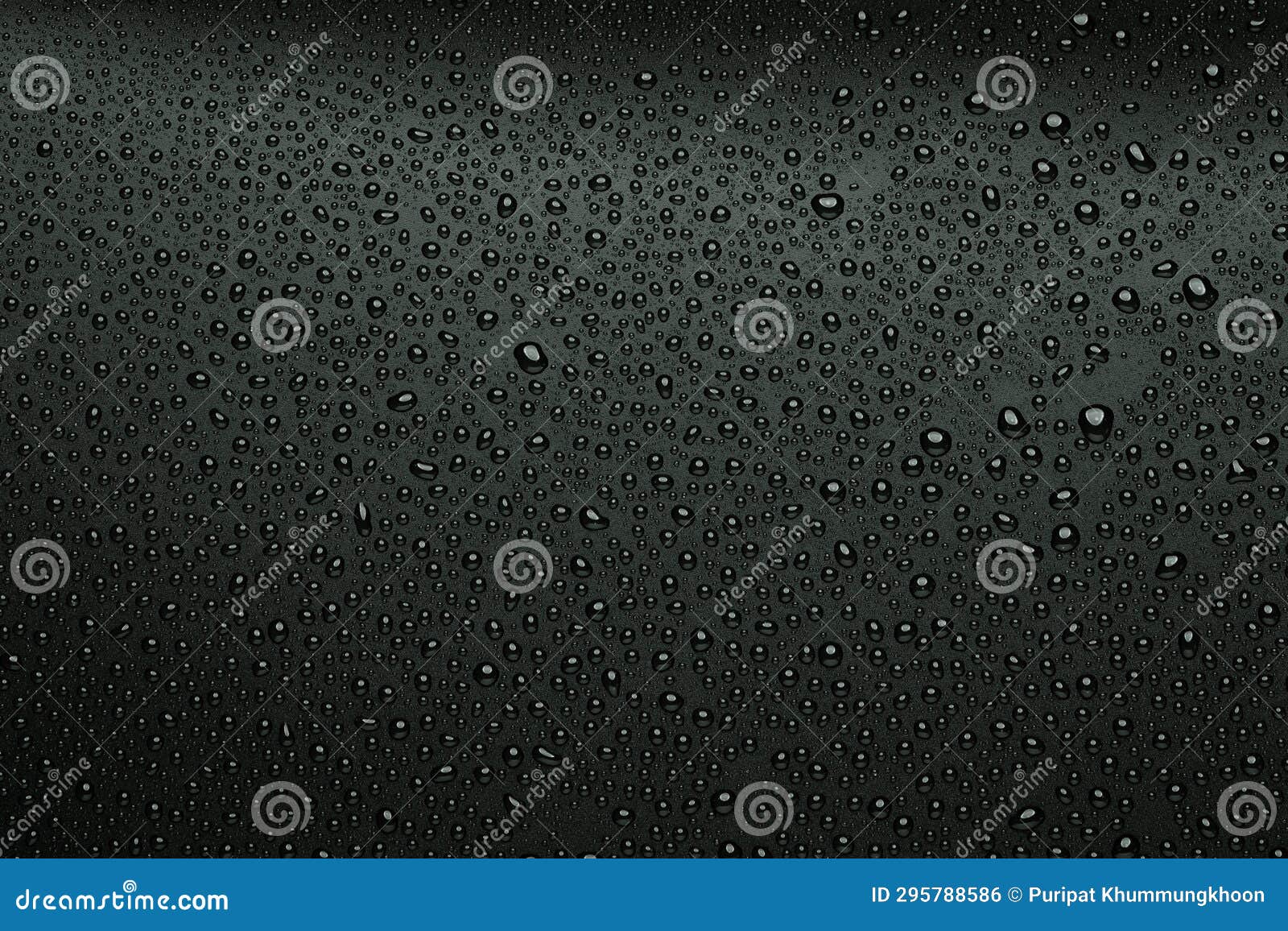 Water Droplets on Black Background Stock Photo - Image of clear, aqua ...