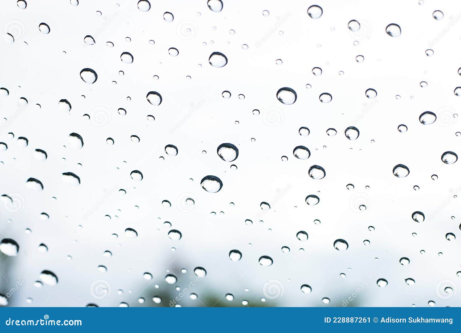 Water Droplets on Car Windshield Stock Image - Image of perfection ...