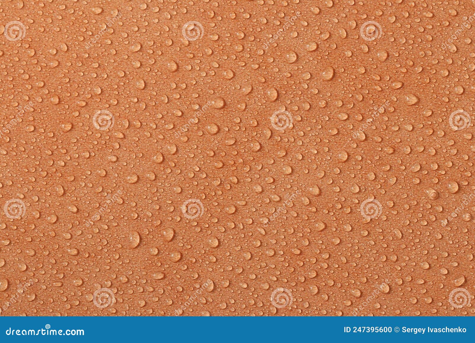 Water Droplets on a Colored Texture. Stock Photo - Image of rain ...