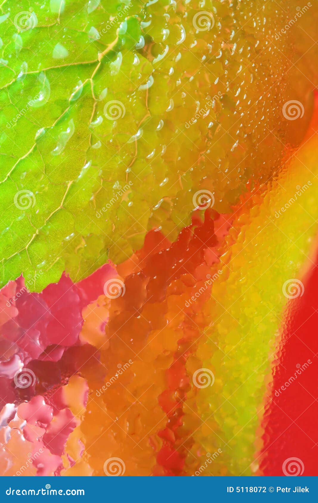 Water Droplets on Colors Background Stock Photo - Image of abstract ...