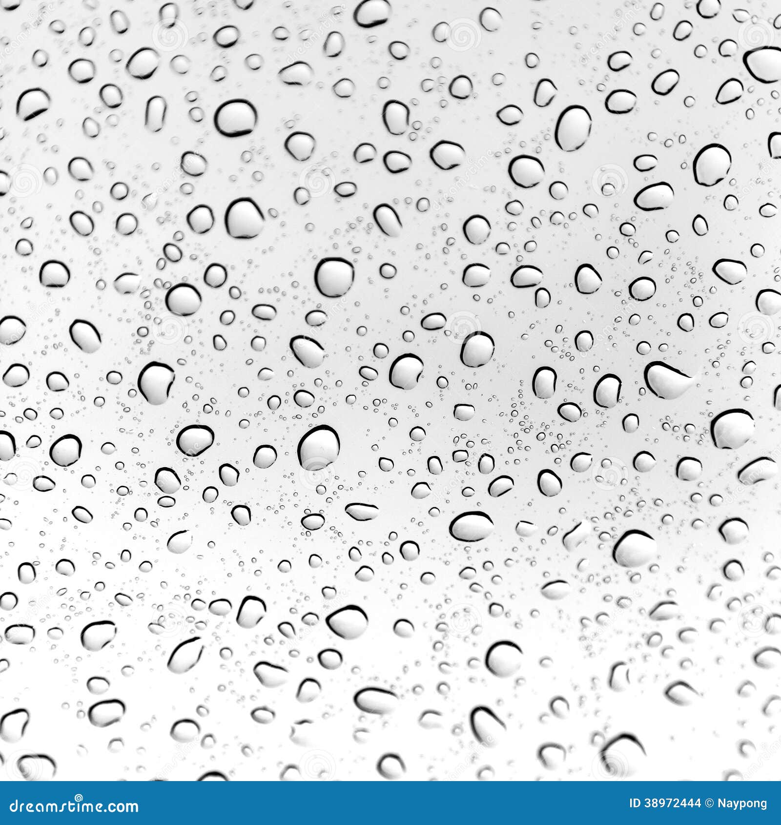 Water droplets stock photo. Image of abstract, gray, droplets - 38972444