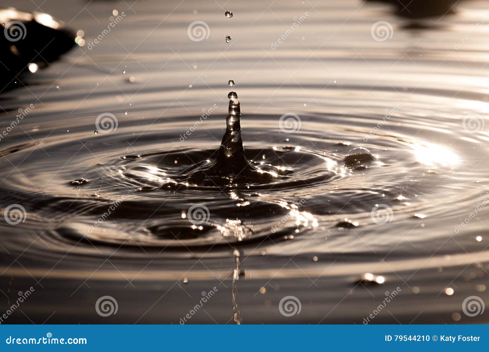 Water Droplets Falling into a Pond at Sunset Stock Photo - Image of ...