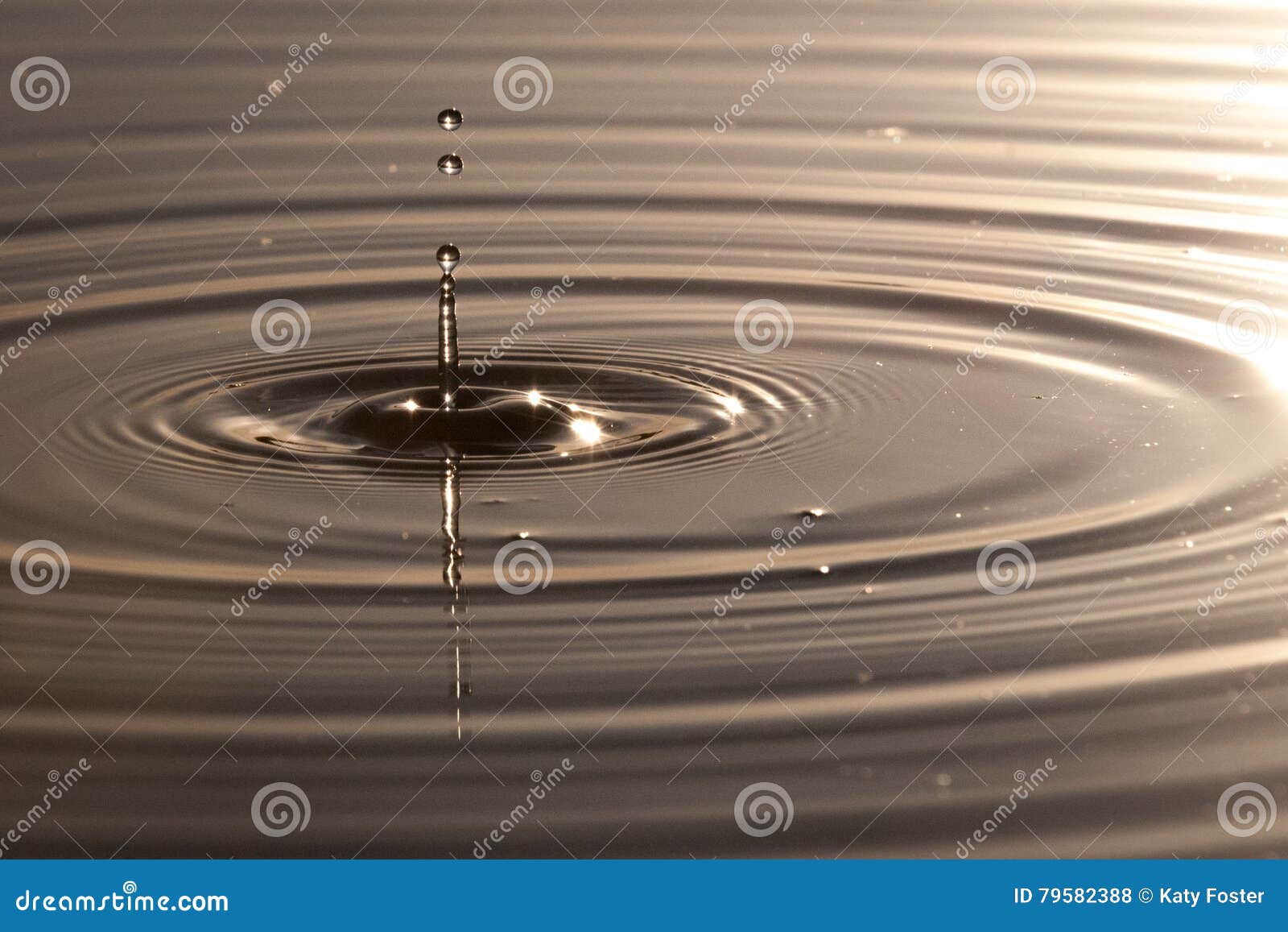 Water Droplets Falling into a Pond at Sunset Stock Photo - Image of ...