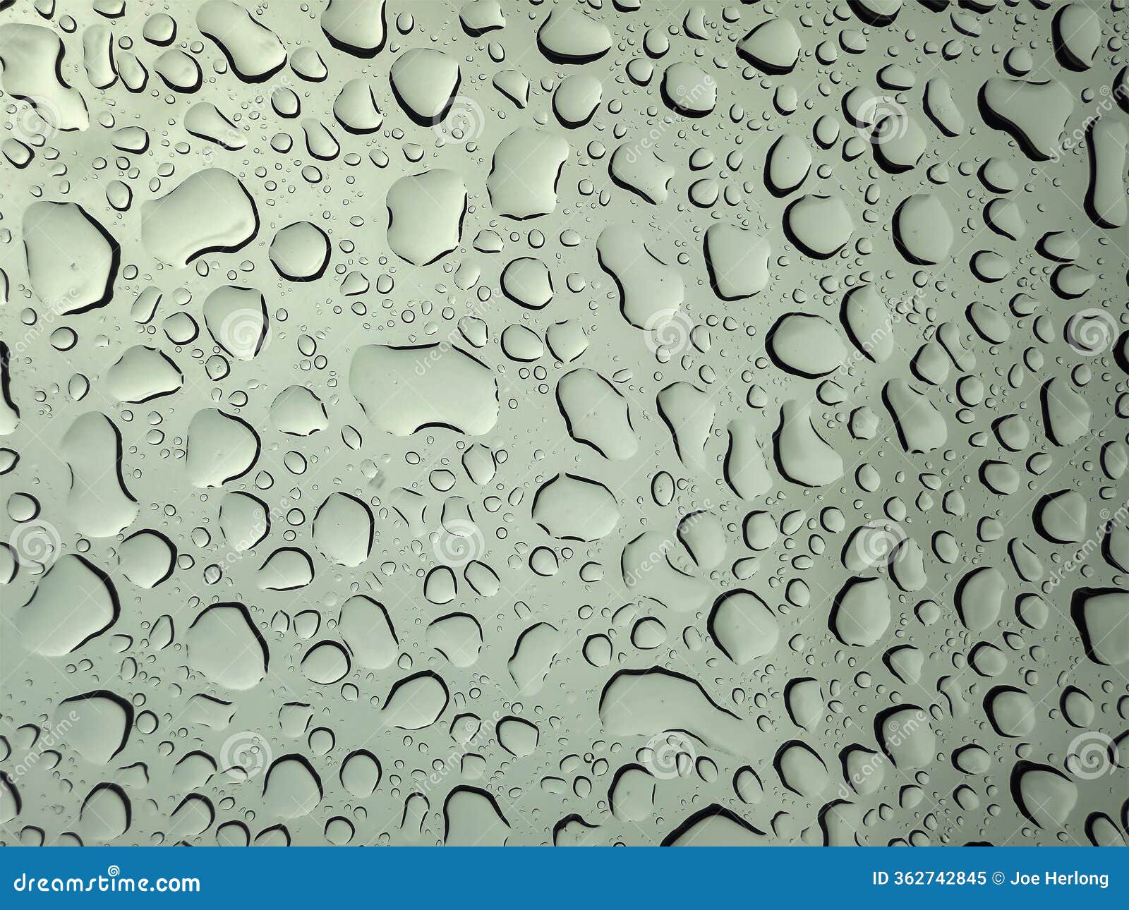 Cohesion Water Molecule Royalty-Free Cartoon | CartoonDealer.com #343587407