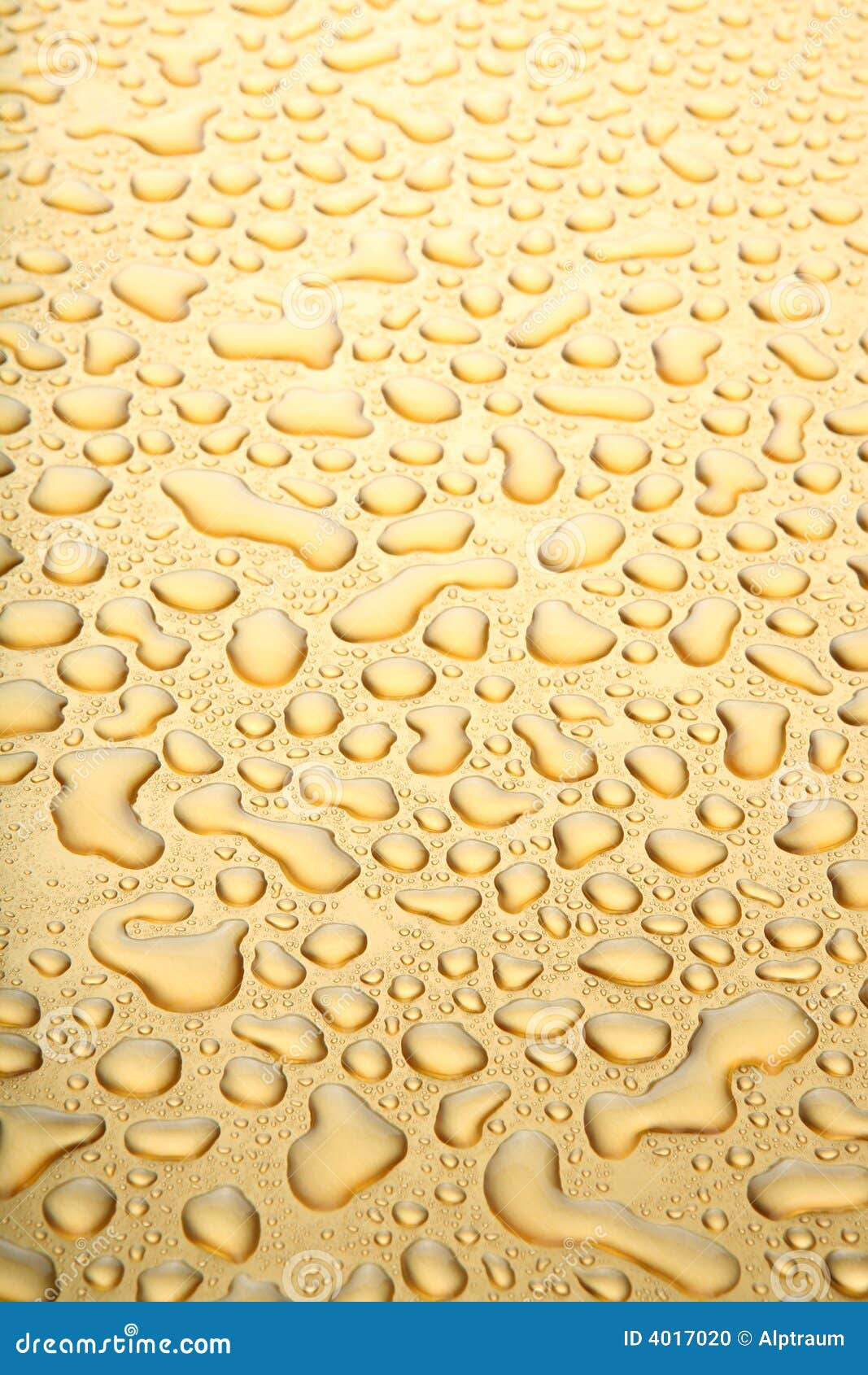 Water Droplets Gold Background Stock Photo - Image of rain, texture ...