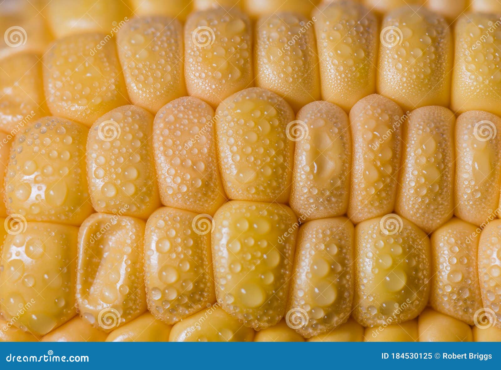 Water Droplets on Grains of Fresh Corn Stock Image - Image of ...