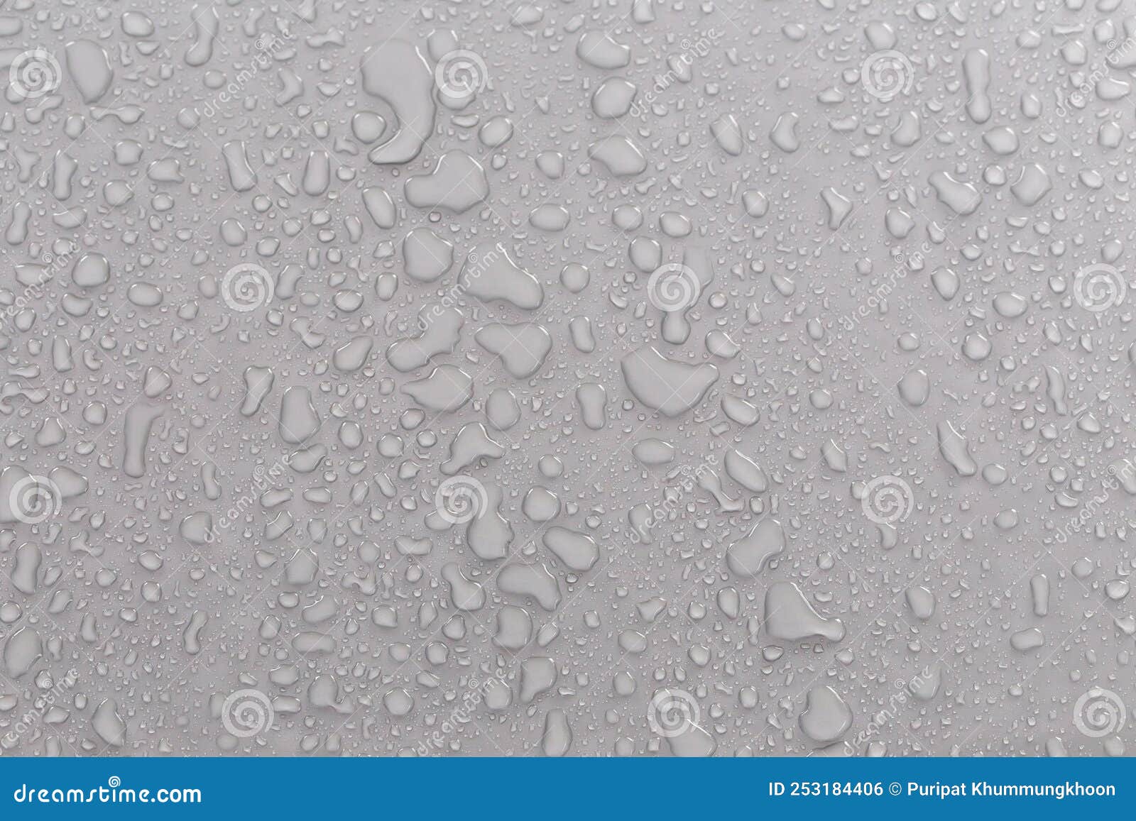 Water Droplets on the Gray Background Stock Photo - Image of brisk ...